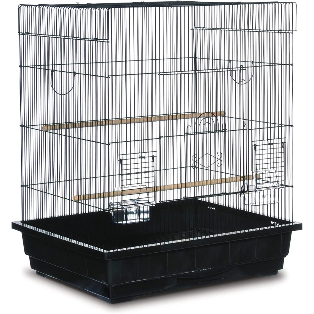 Parakeet Paradise:The Best Cage for Your Feathered Friend