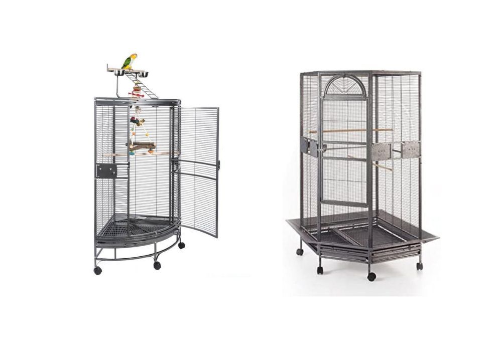 The Benefits of Buying a Large Corner Bird Cage