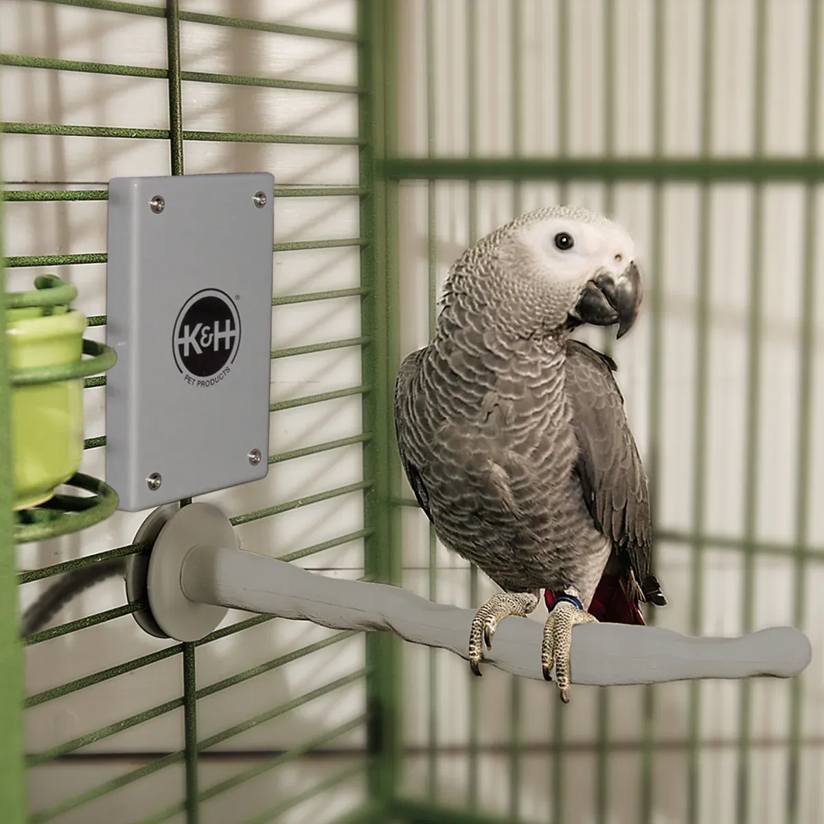 How to Keep Your Birds at an Optimal Temperature with Bird Cage Heater