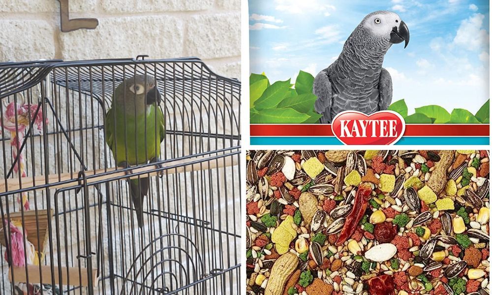 Boost Your Bird's Health with Kaytee Parrot Food: All Natural Ingredients!