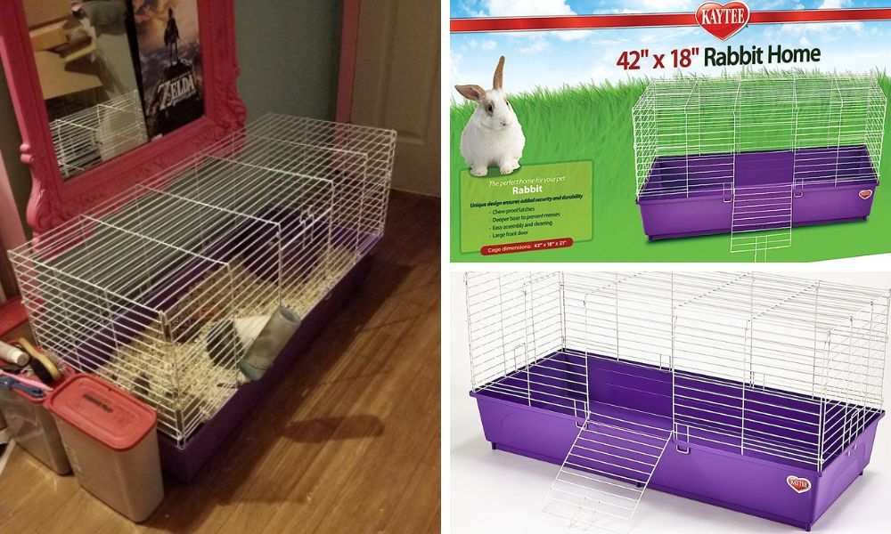 Set Up a Safe Haven for Your Pet Rabbit: The Kaytee Rabbit Cage is the ...