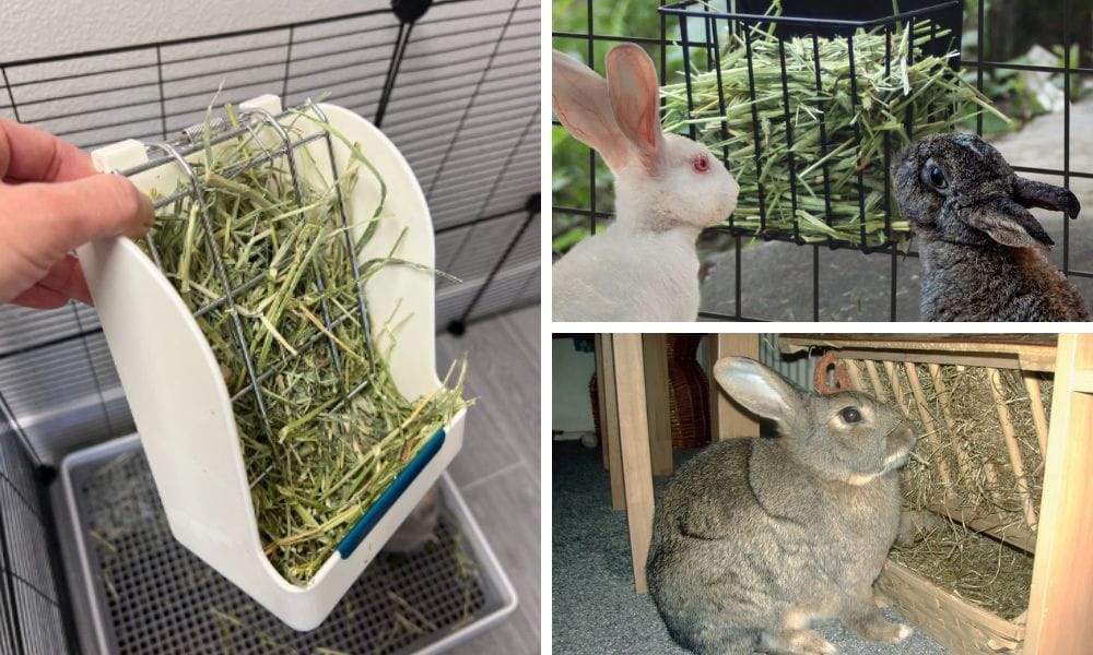 The Ultimate Guide to Choosing the Perfect Rabbit Hay Feeder