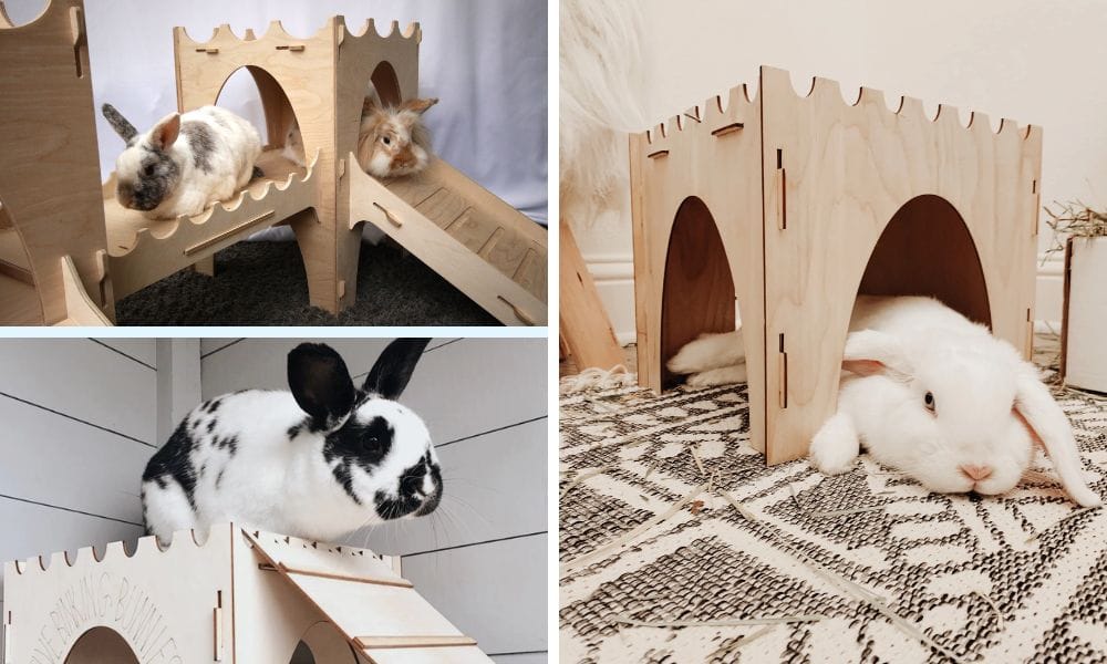 The Ultimate Guide to Building a Rabbit Castle: A Bunny's Dream Home