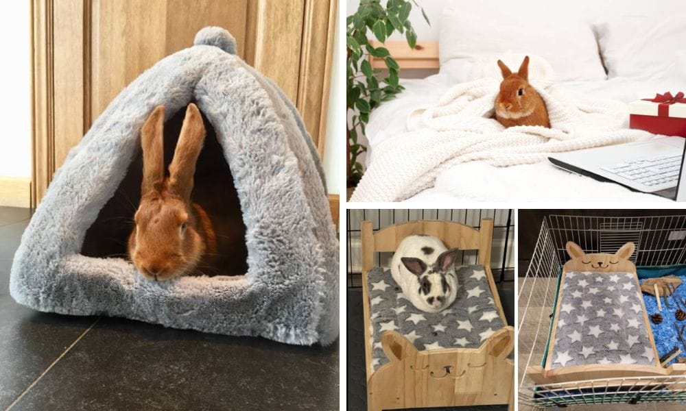 Choosing the Perfect Rabbit Bed for Your Pet Friend: A Buyer’s Guide