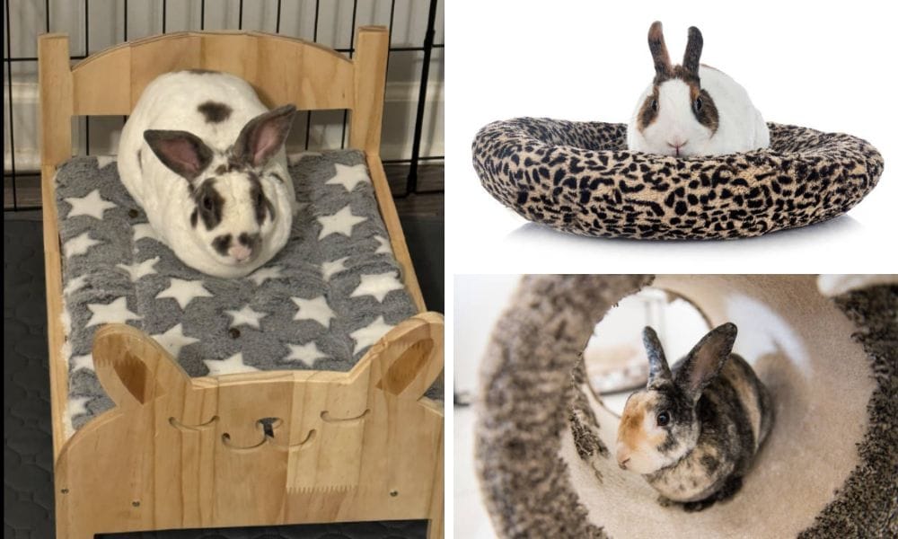 The Importance of a Comfortable Rabbit Bed for Your Furry Friend