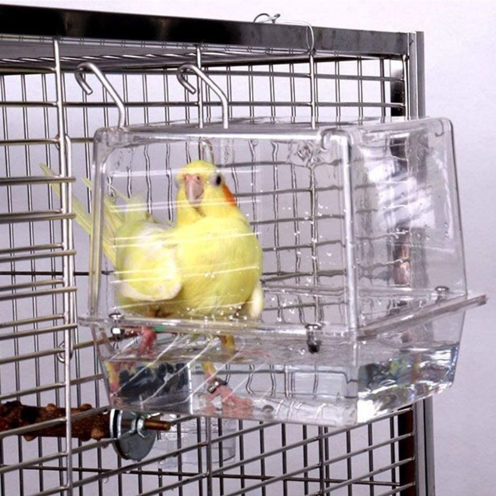 The Best Cockatiel Bath on the Market: A Comprehensive Review