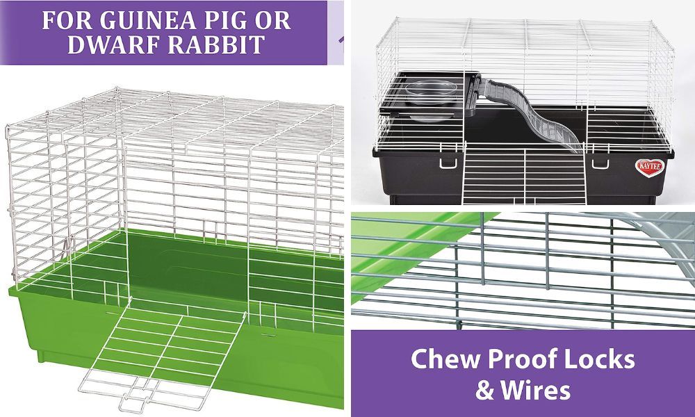 Maximizing Space: How Stackable Rabbit Cages Can Improve Your Pet's ...