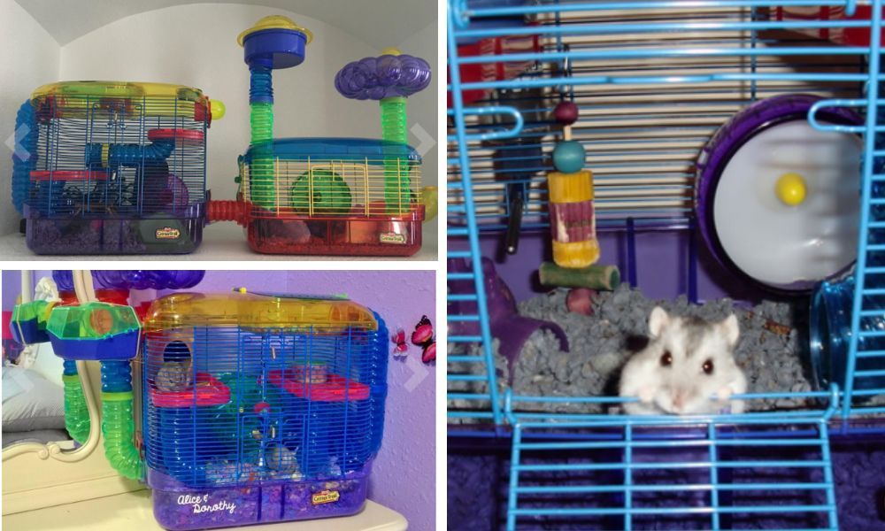 Creative Kaytee Crittertrail Setup Ideas: Designing the Ultimate ...