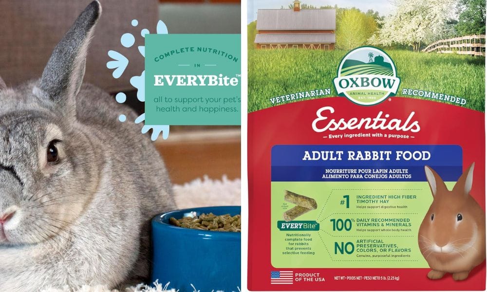 Oxbow Rabbit Food: The Complete Nutritional Guide for Your Furry Friend