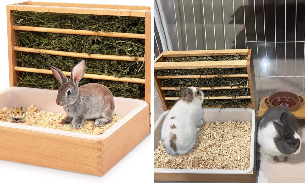 Combining Convenience: An Analysis of Rabbit Hay Feeder with Integrated ...