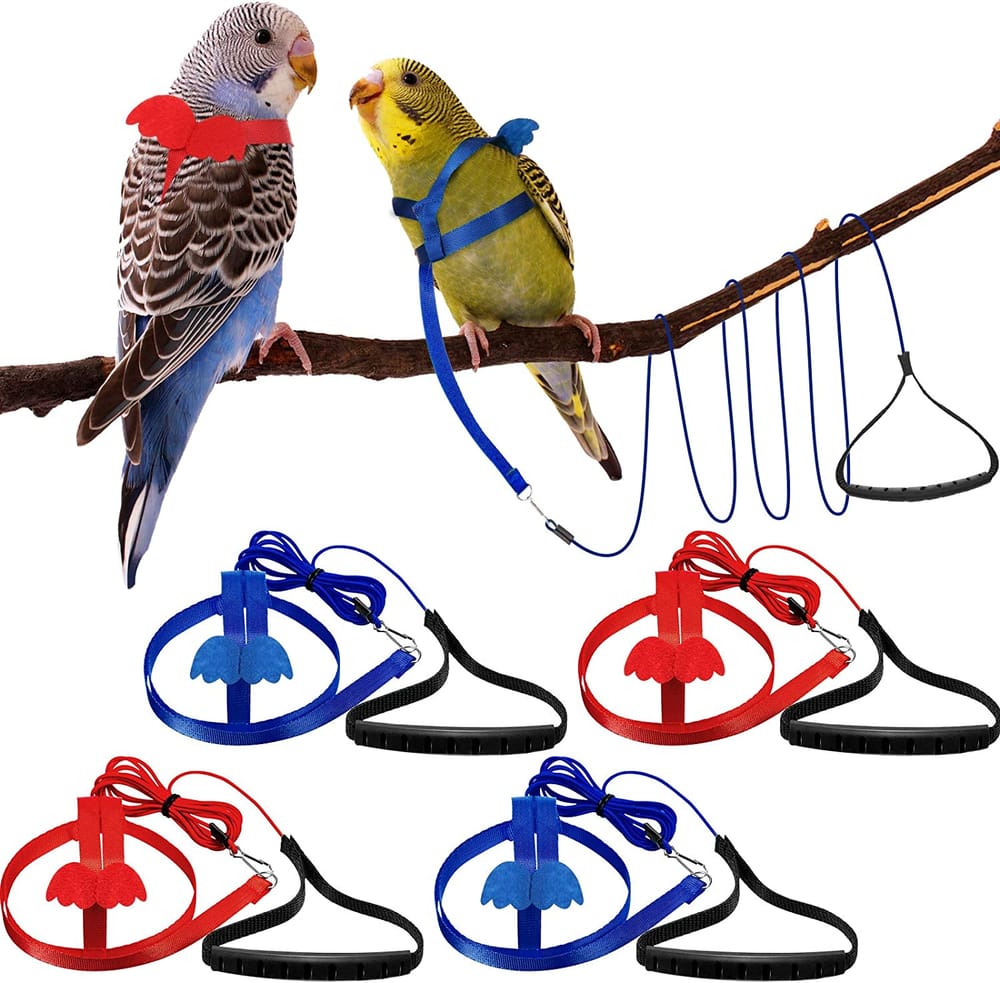 Parakeet Harness: How to Harness-Train Your Parakeet For Outdoor