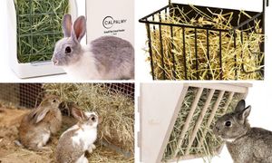 A Comprehensive Look at Different Types of Hay Feeders For Rabbits