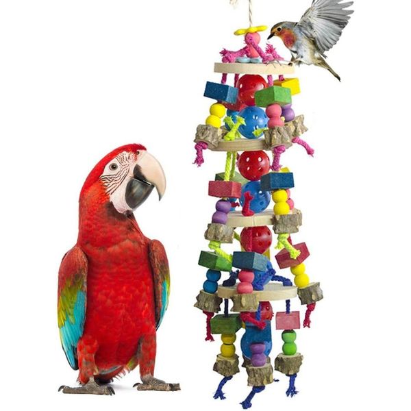 The 5 Best Macaw Toys You Can Buy in 2023