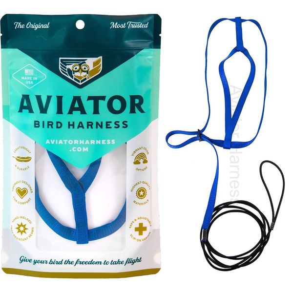 The 3 Best Macaw Harnesses for Your Feathered Friend