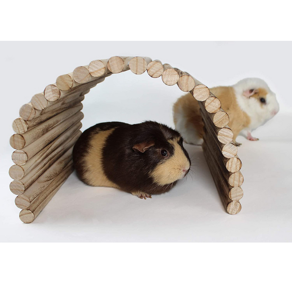 5 Hideouts Your Guinea Pigs Will Love