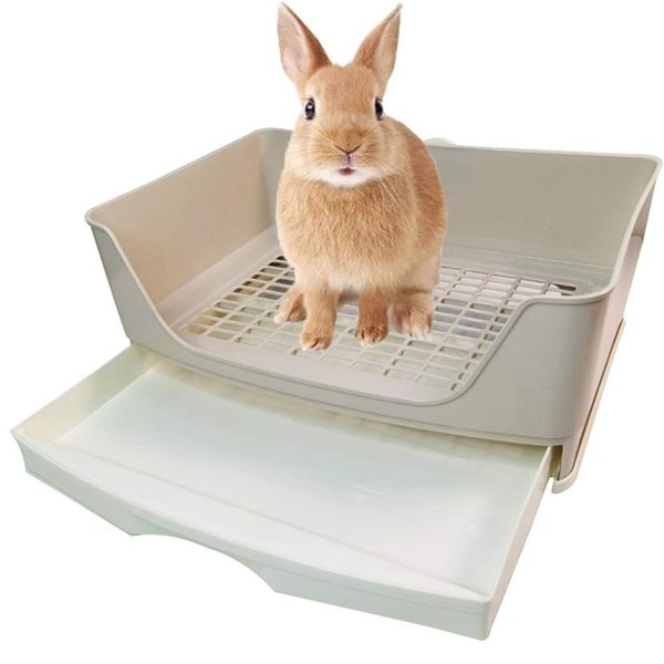 Top 3 Rabbit Litter Boxes That Make House Training A Breeze