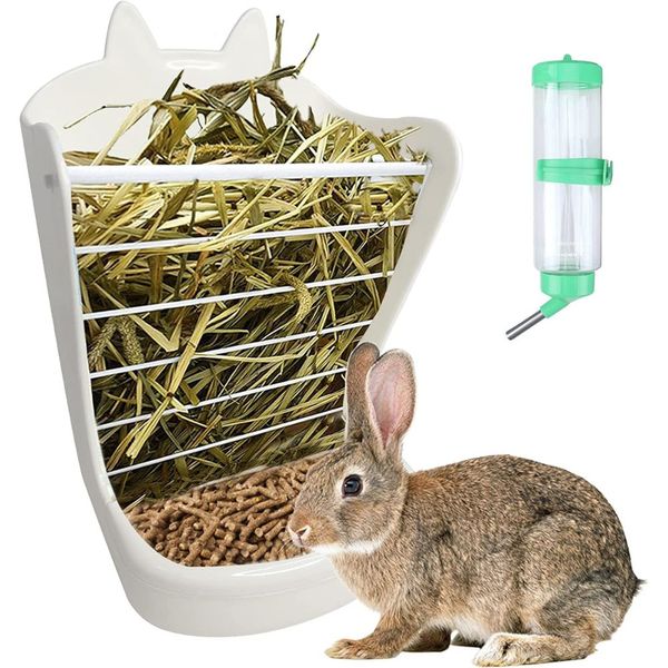 Top 5 Rabbit Feeders for Your Furry Pal
