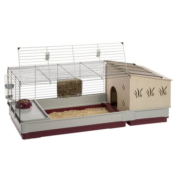 3 Rabbit Starter Kits That Every Pet Owner Should Look Into