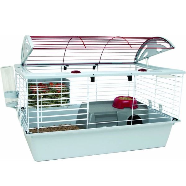 3 Rabbit Starter Kits That Every Pet Owner Should Look Into