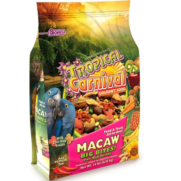 Macaw Food of 2023: Which One Is The Best For Your Feathered Friend?