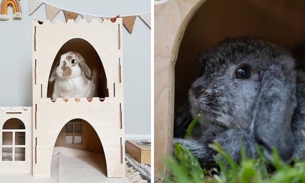 The Ultimate Guide to Building a Rabbit Castle: A Bunny's Dream Home